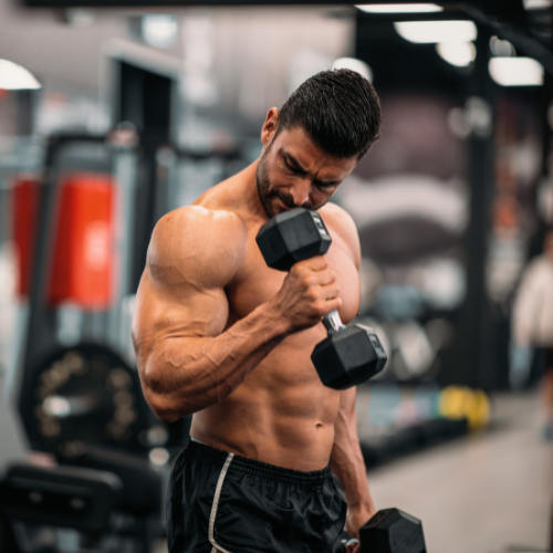 POWER + MUSCLE – Pure Muscle Nutrition